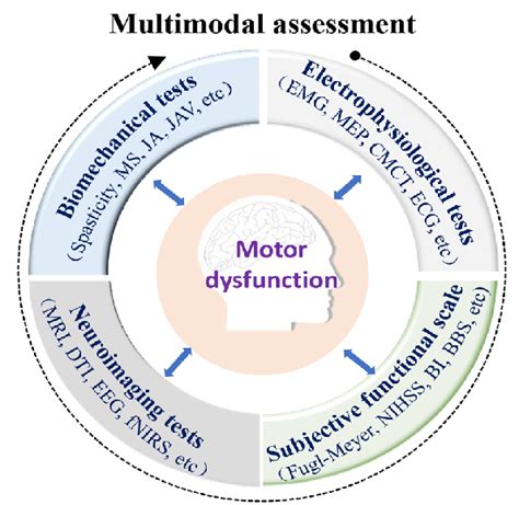 Multimodal Assessment Combines The Clinical Functional Scale And Download Scientific Diagram