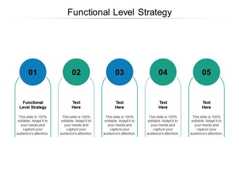 Functional Level Strategy Ppt Powerpoint Presentation Portfolio