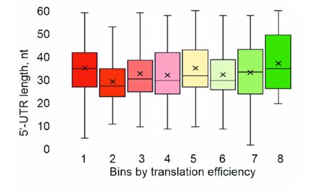 Influence Of 5 Utr Length On Translation Efficiency Shown Is A