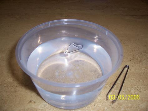 Steph S Blog Paper Clip Floating On Water