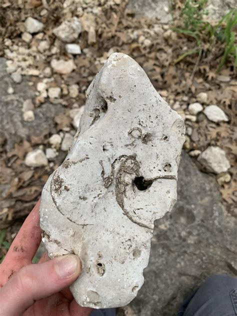 Fossil Identification Rfossils