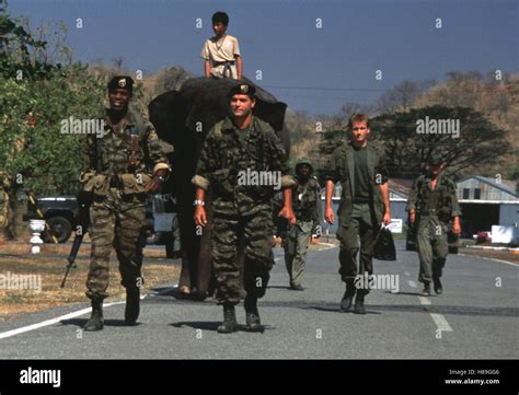 Operation Dumbo Drop 1995 Ray Liotta Banque De Photographies Et D