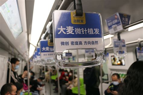 Antigen Recognition And T Cell Activation