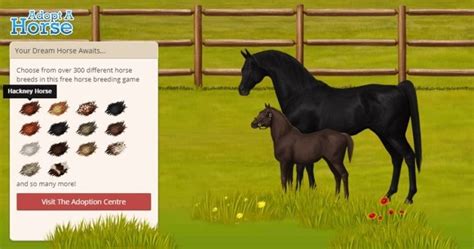 Онлайн игры про лошадей 🐎