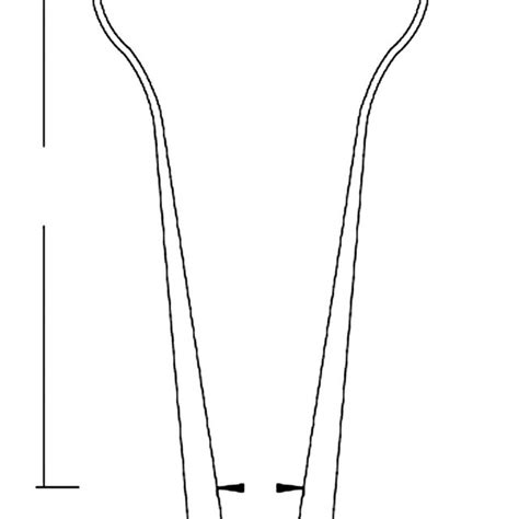 Methods Of Measurement Proximal Tibia At 3 Cm And Tibia Shaft At 16 Cm Download Scientific