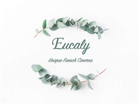 Eucaly Fleury Boutique