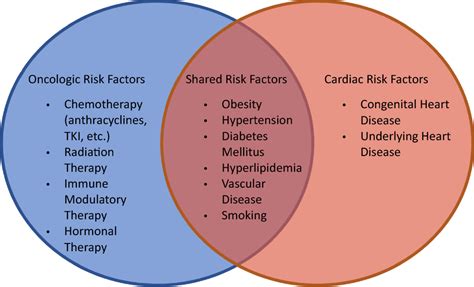 Risk Factors For Development Of Cardiotoxicity Download Scientific Diagram