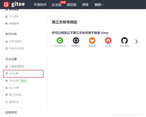 Giteevue创建项目gitee 创建vue项目 Csdn博客