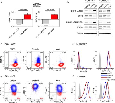 Egfr Signaling Modulates The Cd44⁺cd24⁻ Marker Profile In