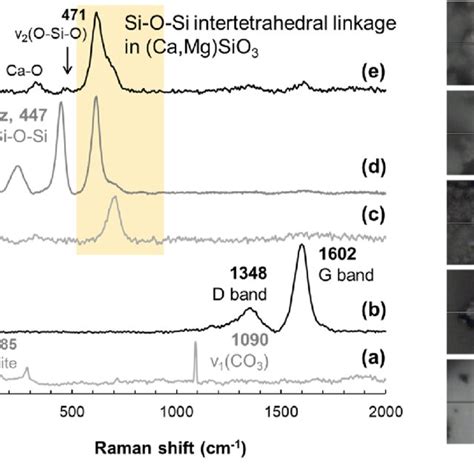 Raman Spectra Left Taken From Different Locations Of The Powered Raw