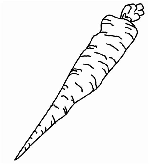 당근 색칠 공부 Kr에서 무료 색칠 공부