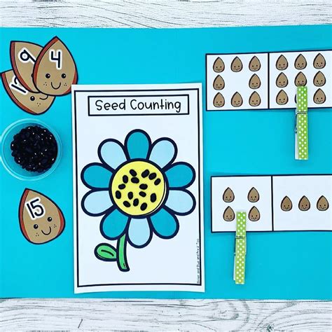🌼 Seed Counting And Comparing Activity For Preschoolers