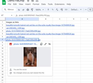 How to Upload Multiple Images In Google Sheets - FileDrop