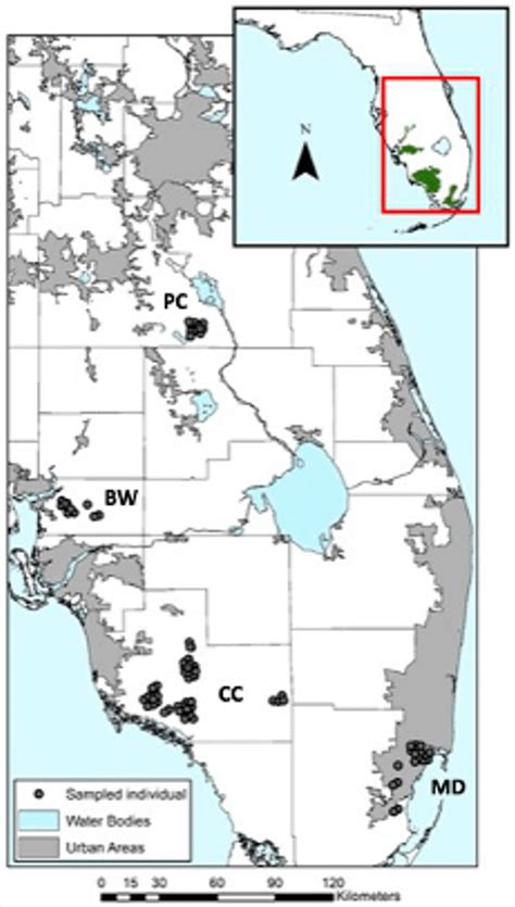 South Florida Indicating The Regional Locations Of Known Florida Download Scientific Diagram