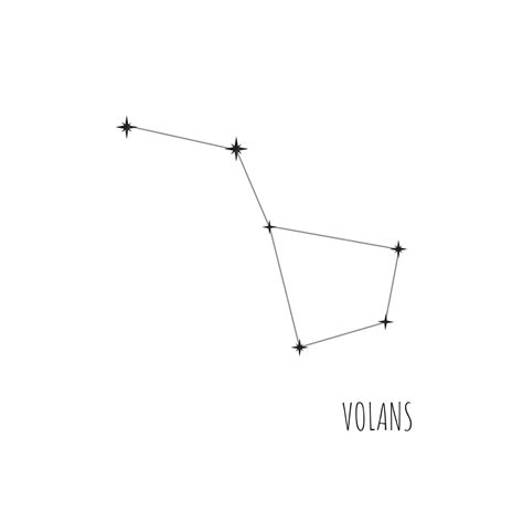 Premium Vector Simple Constellation Scheme Volans Doodle Drawn Set