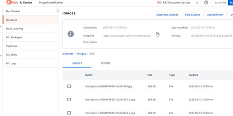 Failed To Run Pipeline For Image Classification Out Of The Box Ai