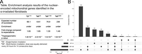 Nuclear Encoded Mitochondrial Genes Identified In The Fibroblasts