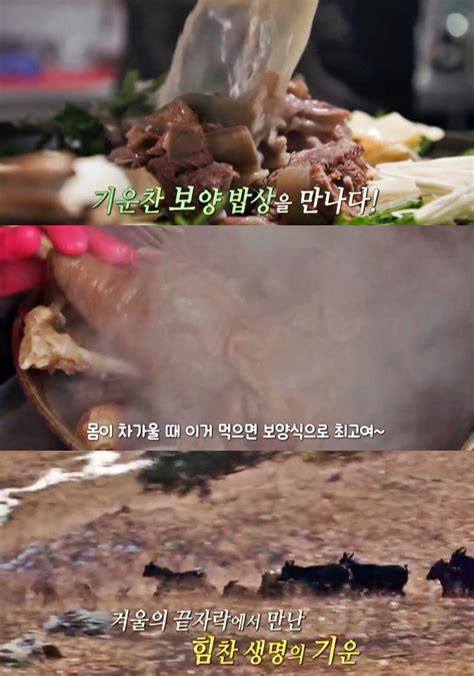 ‘한국인의 밥상 청양 흑염소전골·흑염소수육 맛집 위치는 “아버지와 형제의 농원식당”