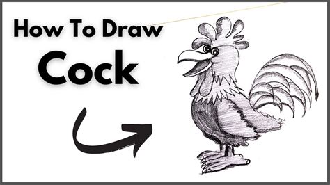 How To Draw A Cock With Simple Steps Pencil Drawing Youtube