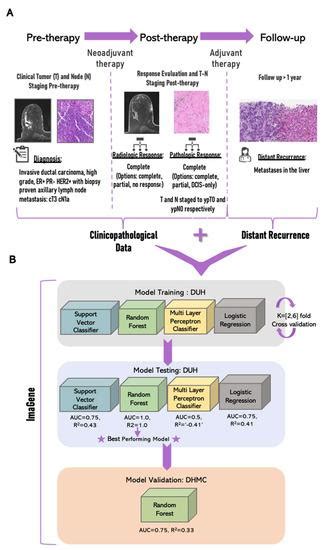 Machine Learning Based Prediction Of Distant Recurrence In Invasive Breast Carcinoma Using