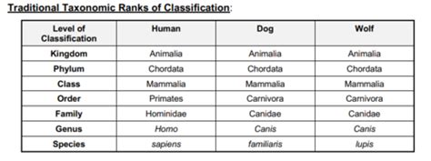Biology Exam Review Flashcards Quizlet