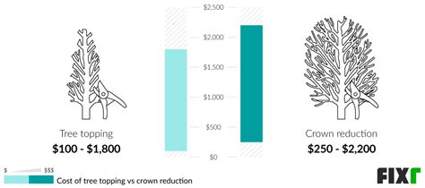 Tree Pruning Cost Average Cost To Prune A Tree Fixr