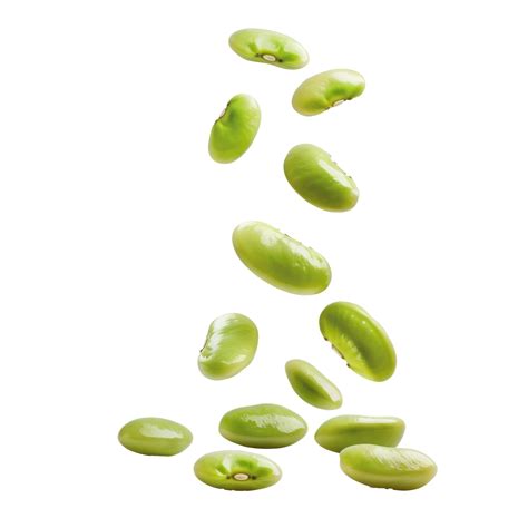 Falling Lima Beans Isolate On Transparency Background 50592625 Png