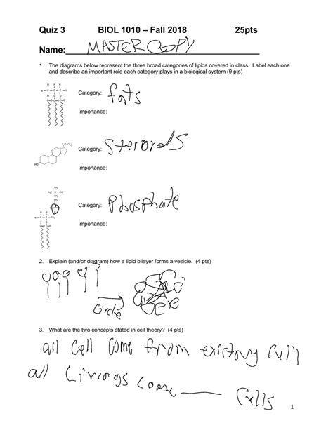 03 Quiz Sep 14 520cce018534 C314e1c743d224837 F33 1 Quiz 3 Biol 1010 3 Fall 2018