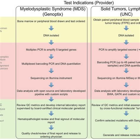 Workflow Of Two Clinical Ngs Tests Developed With The Assistance Of Two Download Scientific