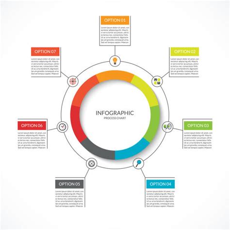 970 7 Segment Infographic Stock Illustrations Royalty Free Vector