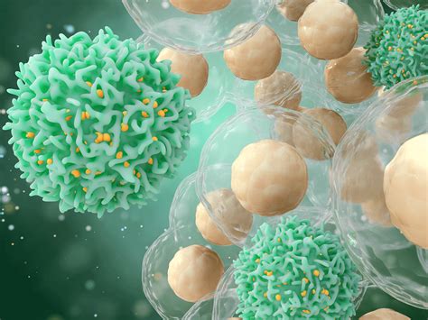 Combination Enhances Solid Tumor Immunotherapy 2020 12 02 Bioworld