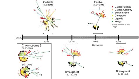 The Anopheles Gambiae 2la Chromosome Inversion Is Associated With Susceptibility To Plasmodium