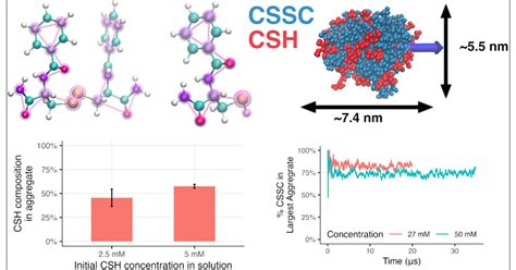 Multiscale Molecular Dynamics Simulations Of An Active Self Assembling