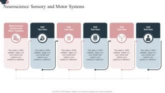 Neuroscience Sensory And Motor Systems Ppt Presentation Cpp PPT PowerPoint