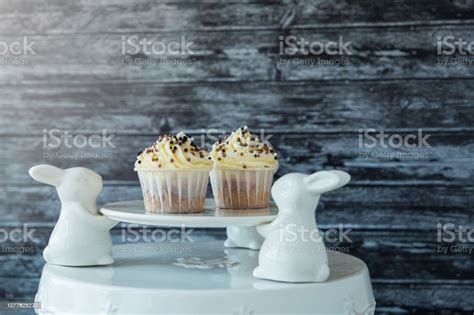 토끼 모양의 다리가있는 접시에 제과 갈색 분말의 공으로 장식 된 흰색 크림으로 컵 케이크를 식욕을 돋우십시오 0명에 대한 스톡 사진 및 기타 이미지 Istock