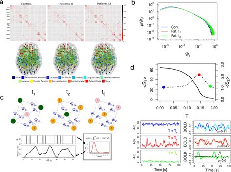 Overview Of Whole Brain Modeling A Average Structural Connectivity Sc