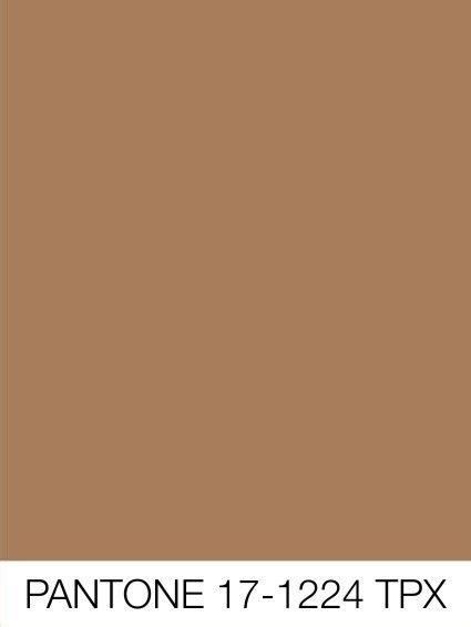 Pantone 17 1224 Tpx Color Palette