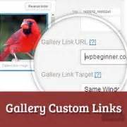 How To Add Custom Links To Gallery Images In WordPress