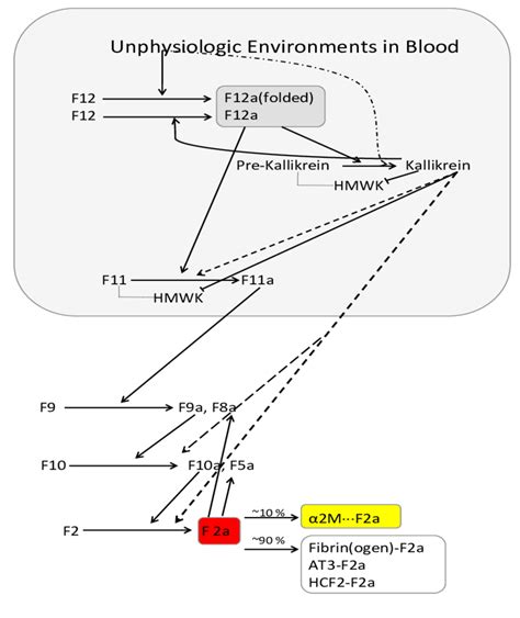 Intrinsic Generation Of Thrombin Download Scientific Diagram