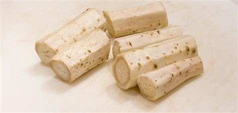 Is Burdock Root Safe While Breastfeeding