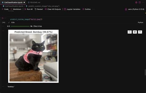 Megan Smith On Linkedin Deeplearning Tensorflow Python Datascience
