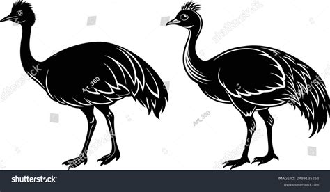 Vector Silhouette Image Cassowary Stock Vector Royalty Free
