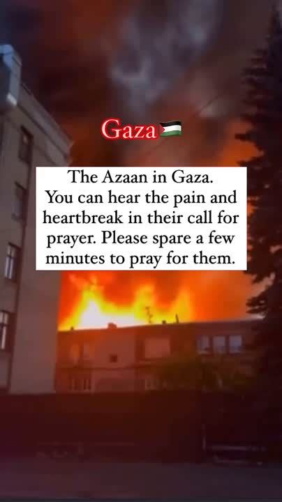 [video] Rubab Zaidi On Linkedin Gaza Palestinianslivesmatter