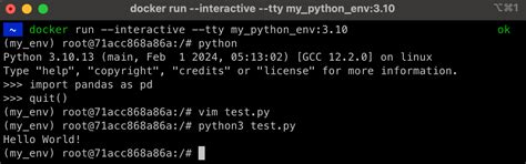 Setting A Dockerized Python Environment The Hard Way Towards Data Science