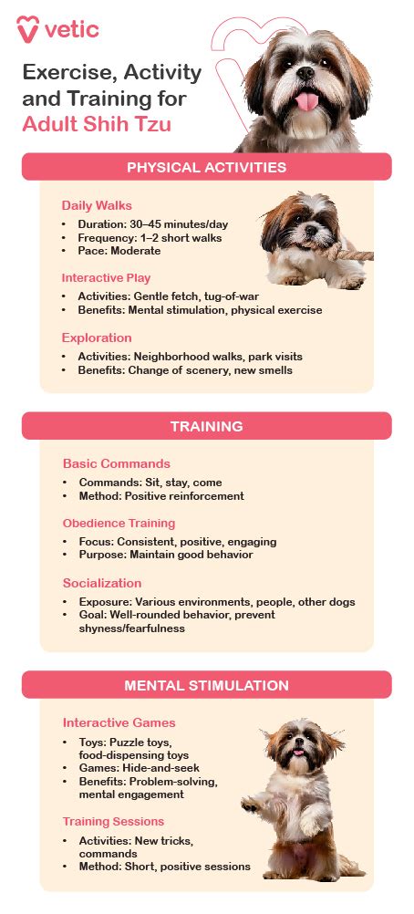 The Complete Guide To The Shih Tzu Breed