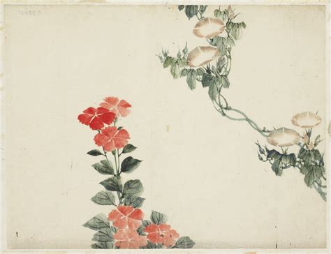 Morning Glory And Red Flowers