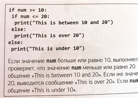 Python например Никола Лейси рецензия на книгу