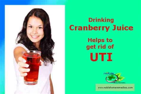 Natural Remedies For Urinary Tract Infections 5 Best Foods