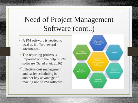 Project Management Software Analysis
