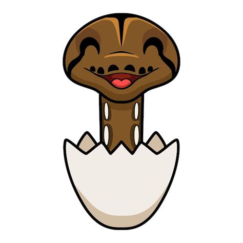 Premium Vector Cute Tiger Reticulatus Python Cartoon Inside An Egg